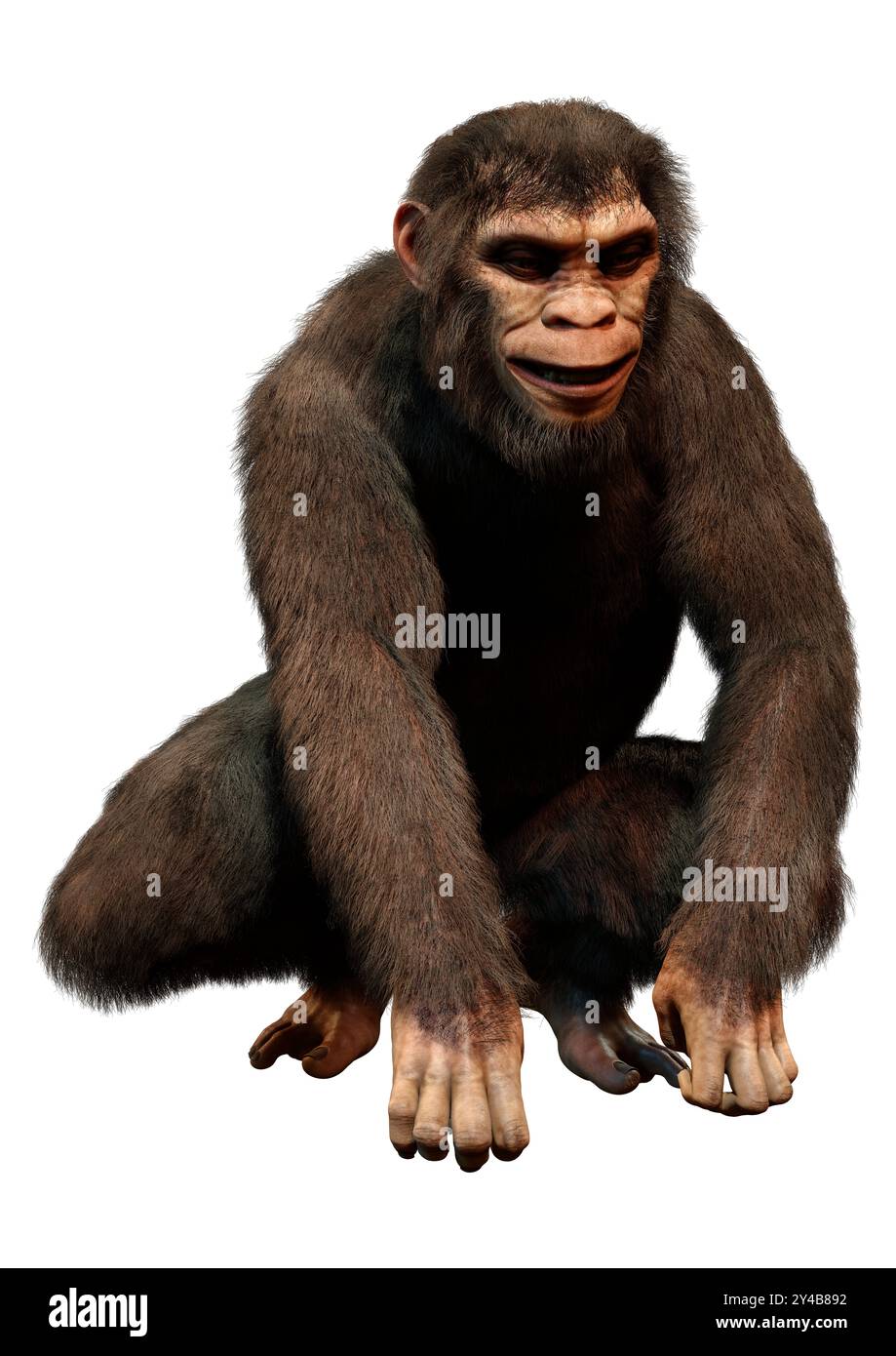 3D rendering of a big chimpanzee ape isolated on white background Stock ...