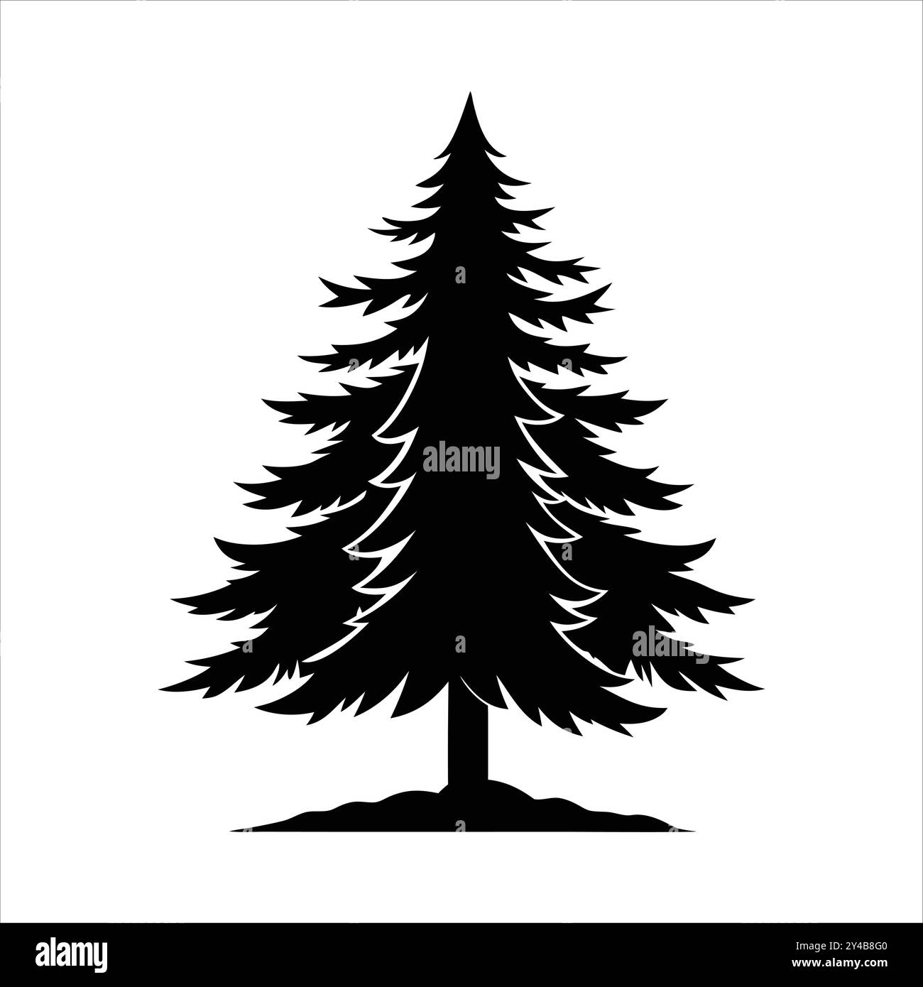 Evergreen foliage for christmas Stock Vector Images - Alamy