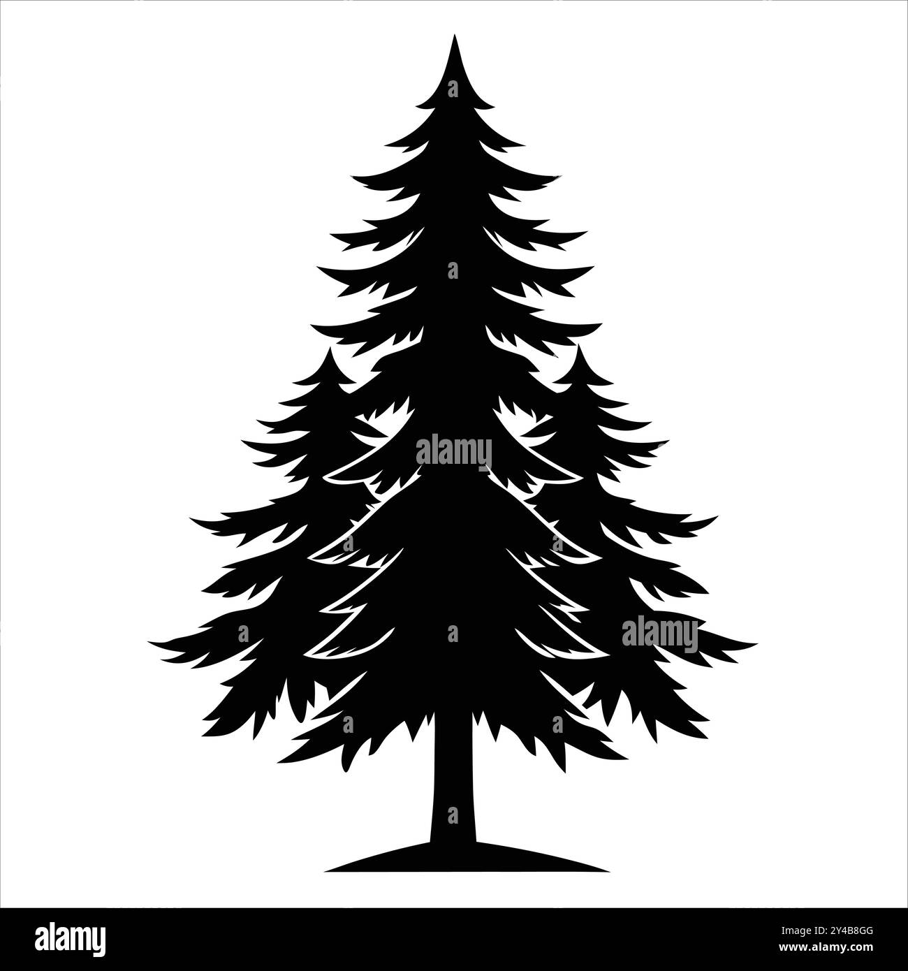 Evergreen foliage for christmas Stock Vector Images - Alamy