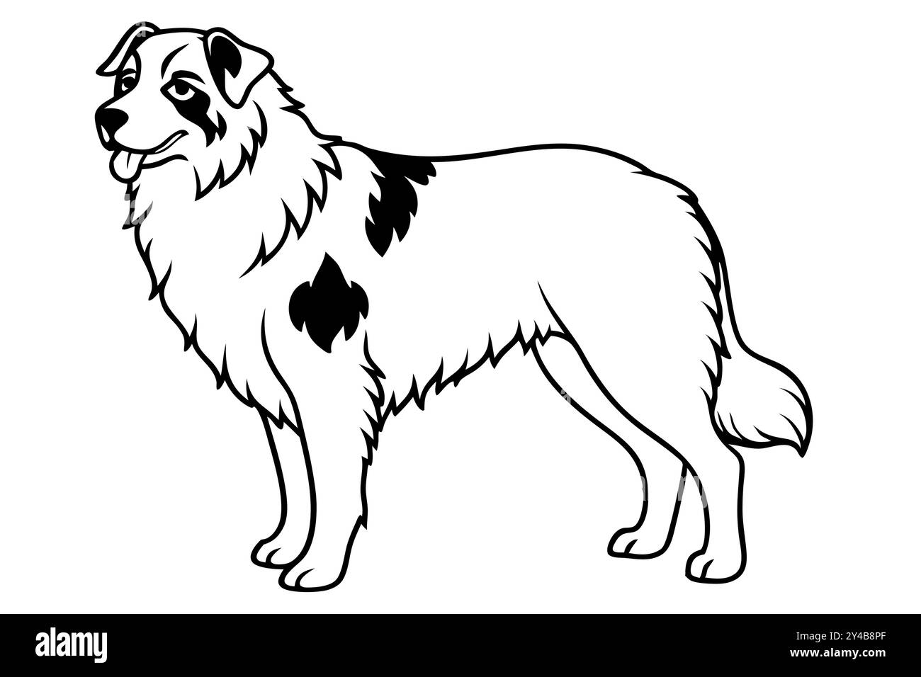 Australian Shepherd silhouette vector illustration Stock Vector Image ...
