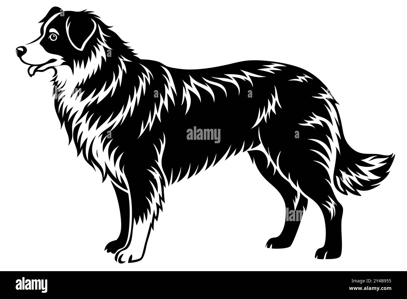 Australian Shepherd silhouette vector illustration Stock Vector Image ...
