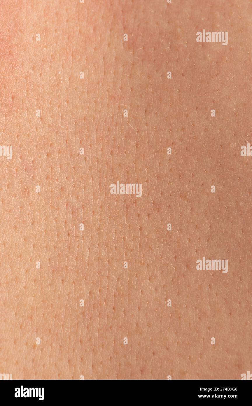 Human skin structure surface with cell division close up view Stock ...