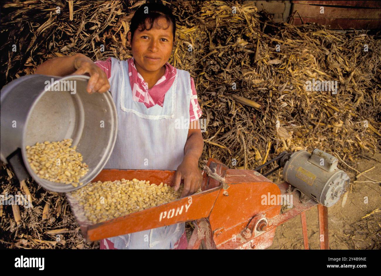 Mexico. Woman grinding corn Stock Photo - Alamy