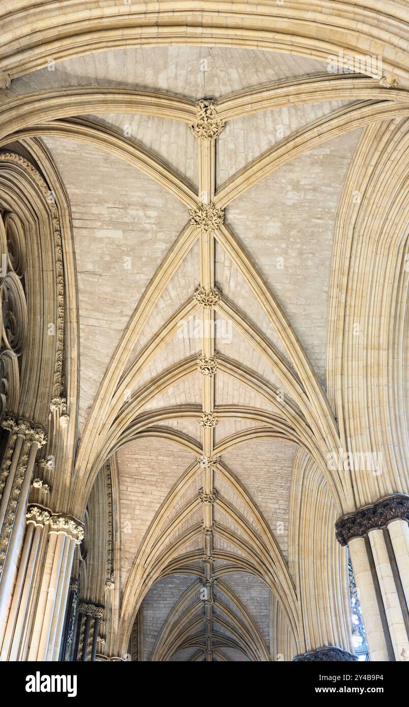 Stone ceiling above the north aisle in Lincoln cathedral, England Stock ...