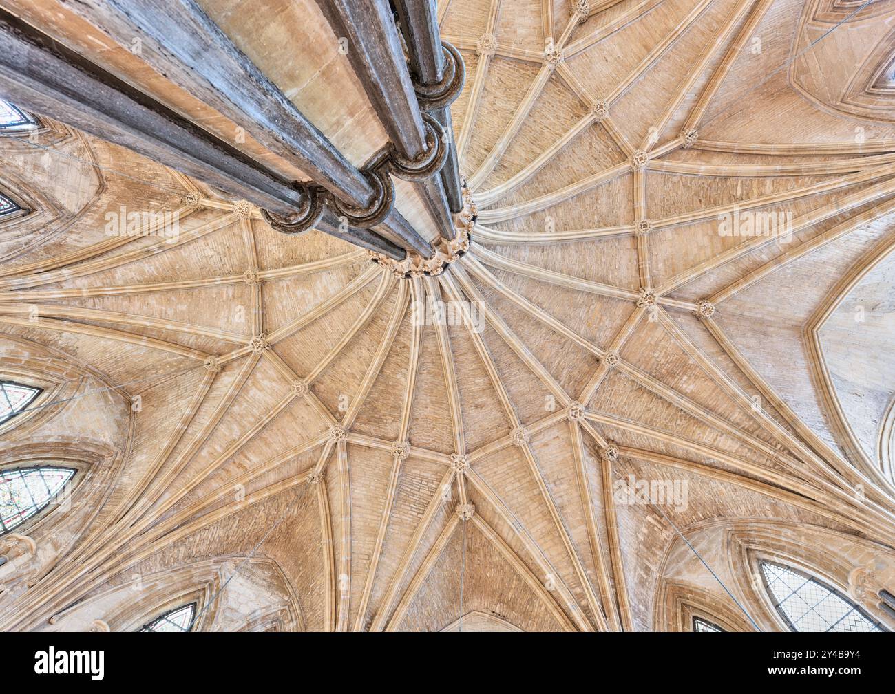 Stone ceiling, supported by a single pillar, in the chapter house of ...