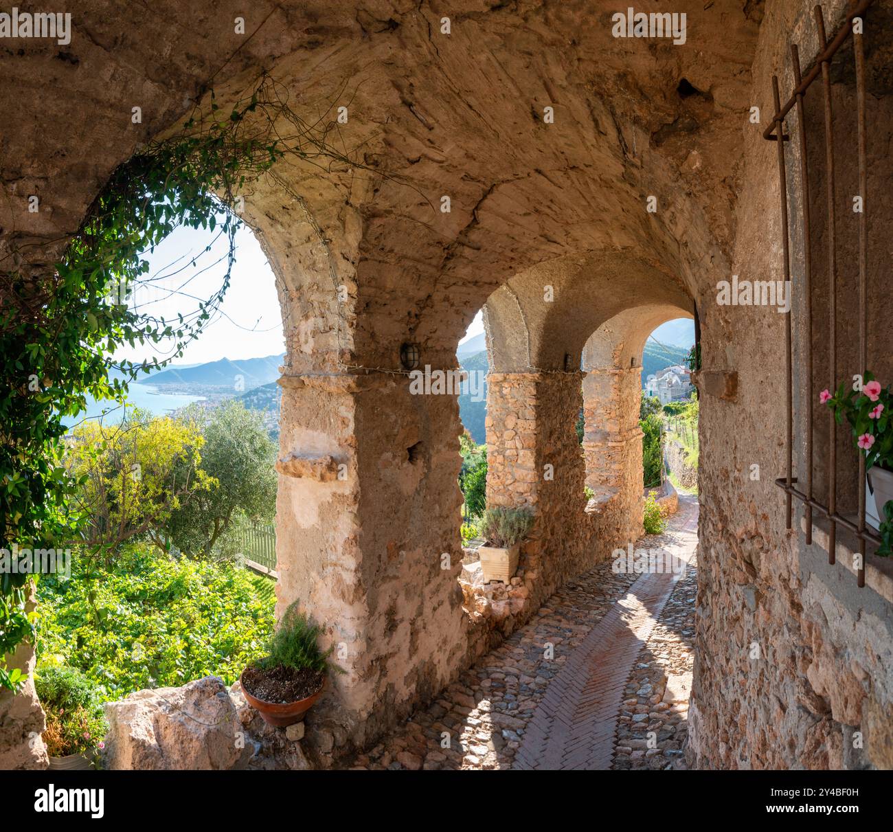 Old mule track hi-res stock photography and images - Alamy
