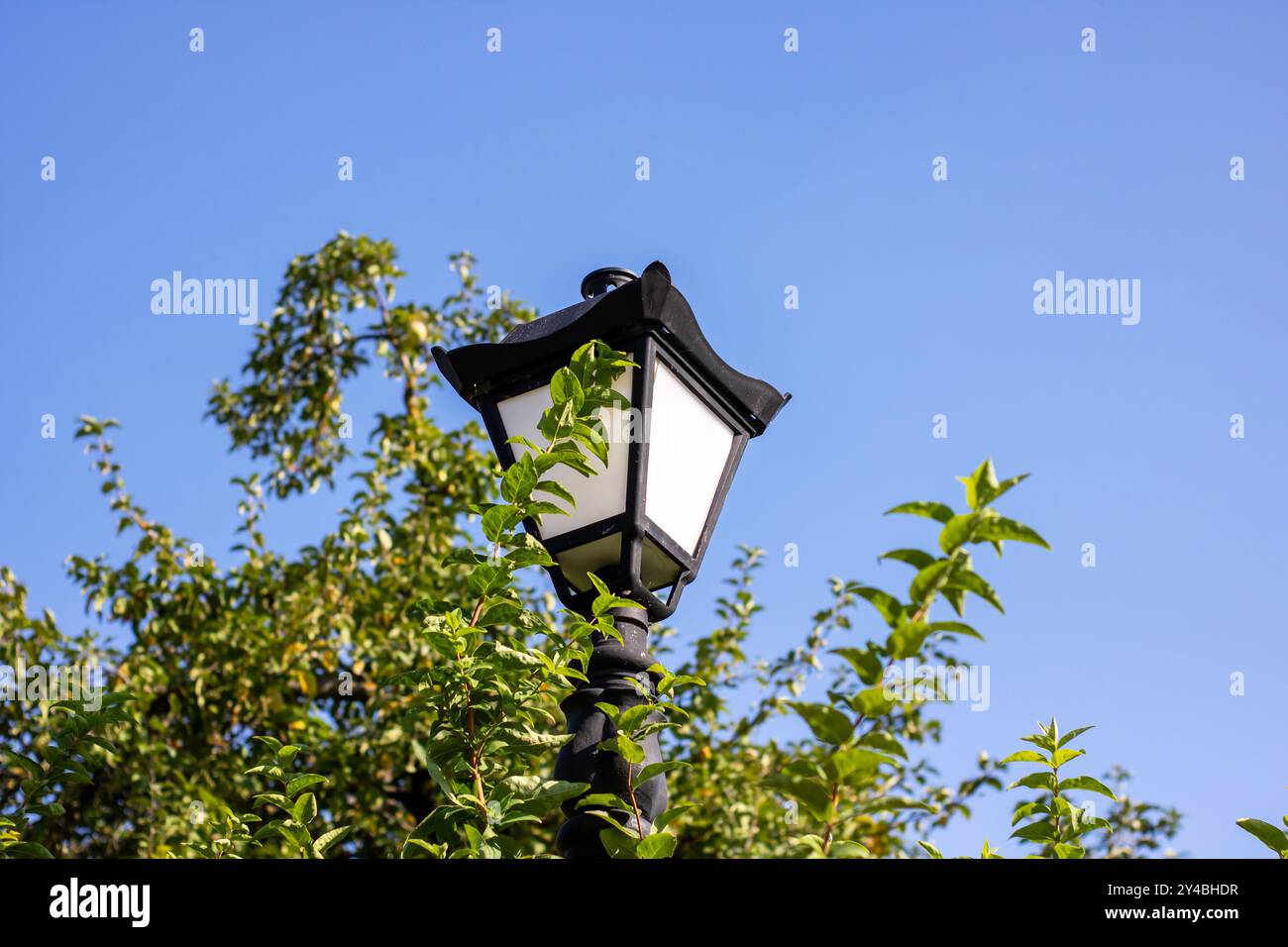 A tall lamp post stands prominently, with a majestic tree in the ...