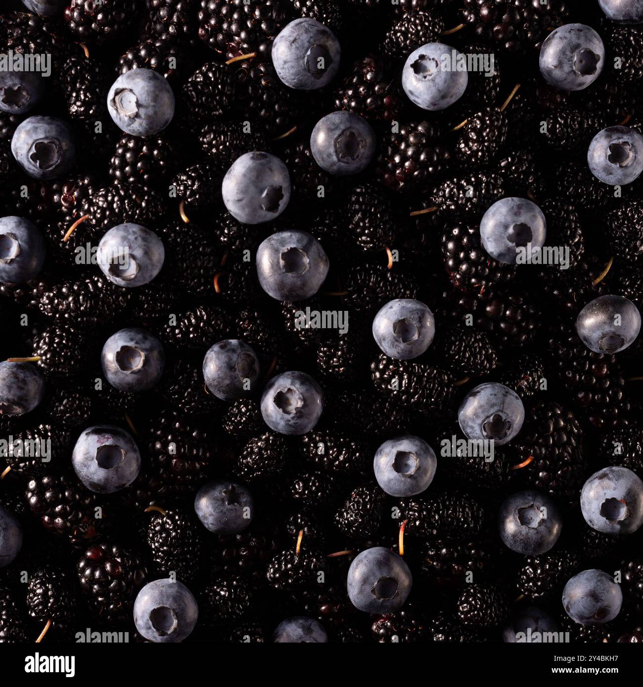 texture of black berries blackberries and mulberries top view fruit and ...