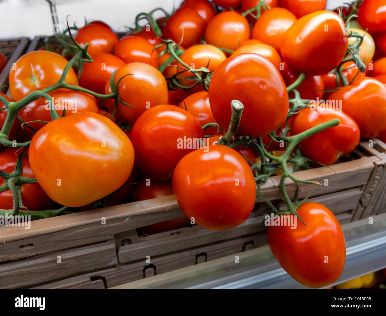 Cluster tomatoes displayed in a crate Stock Photo - Alamy