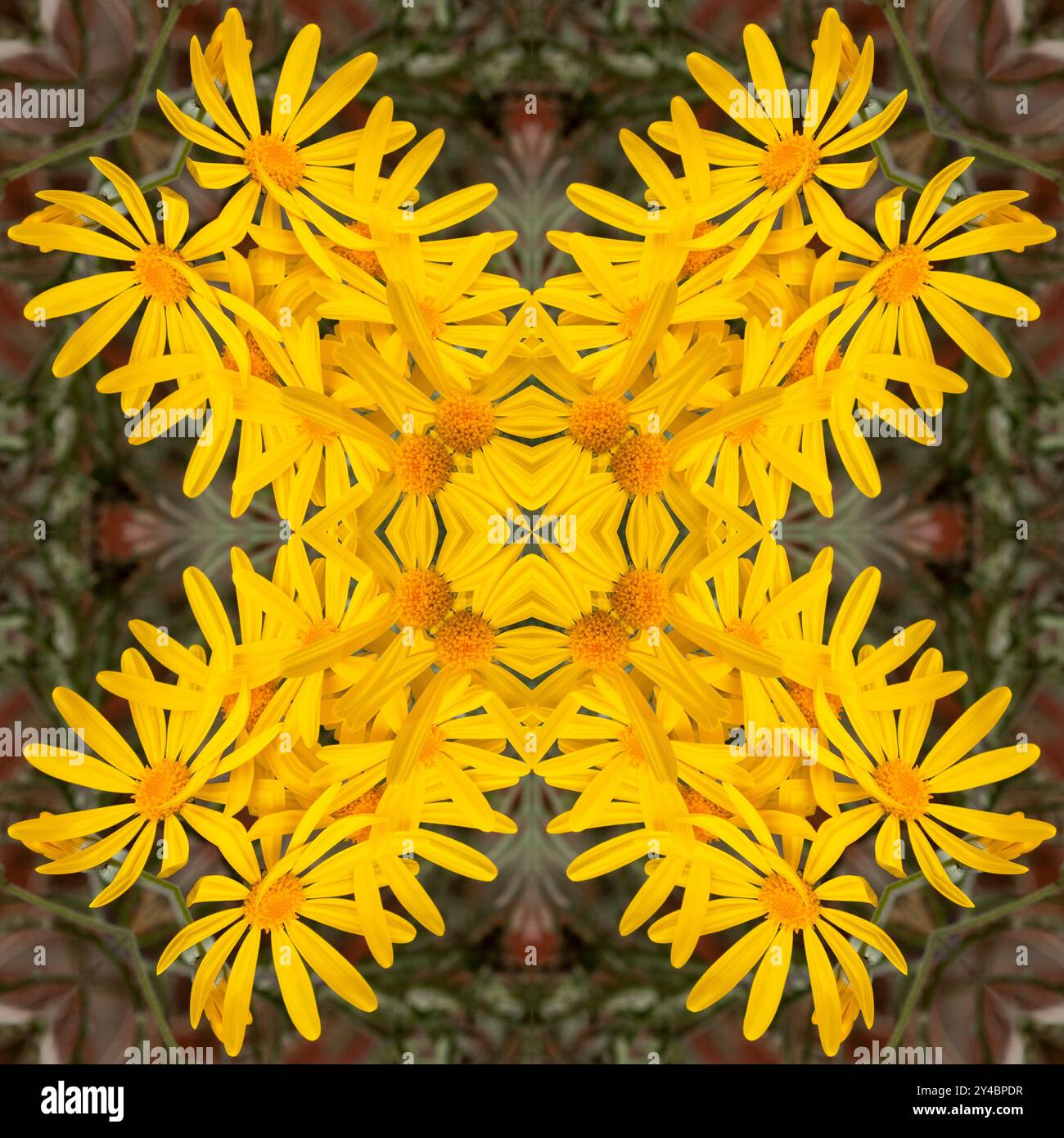 Bright yellow variations hi-res stock photography and images - Alamy