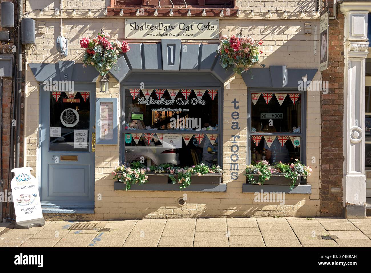 Cat Cafe, Stratford upon Avon, Warwickshire, England, UK Stock Photo - Alamy