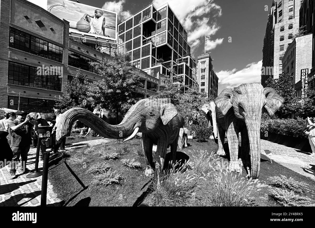 9/8/24, New York, New York, United States “The Great Elephant Migration ...