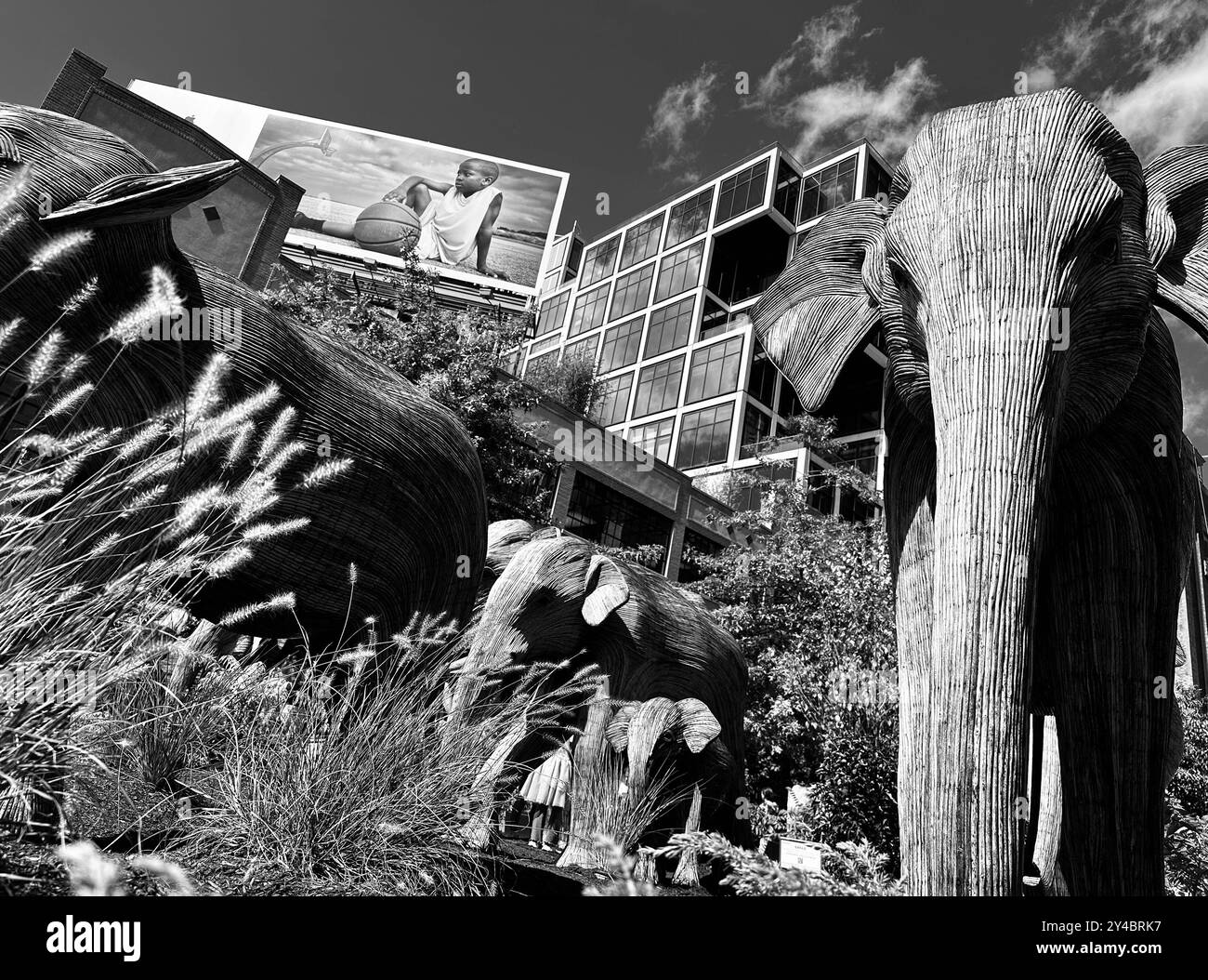 9/8/24, New York, New York, United States “The Great Elephant Migration ...