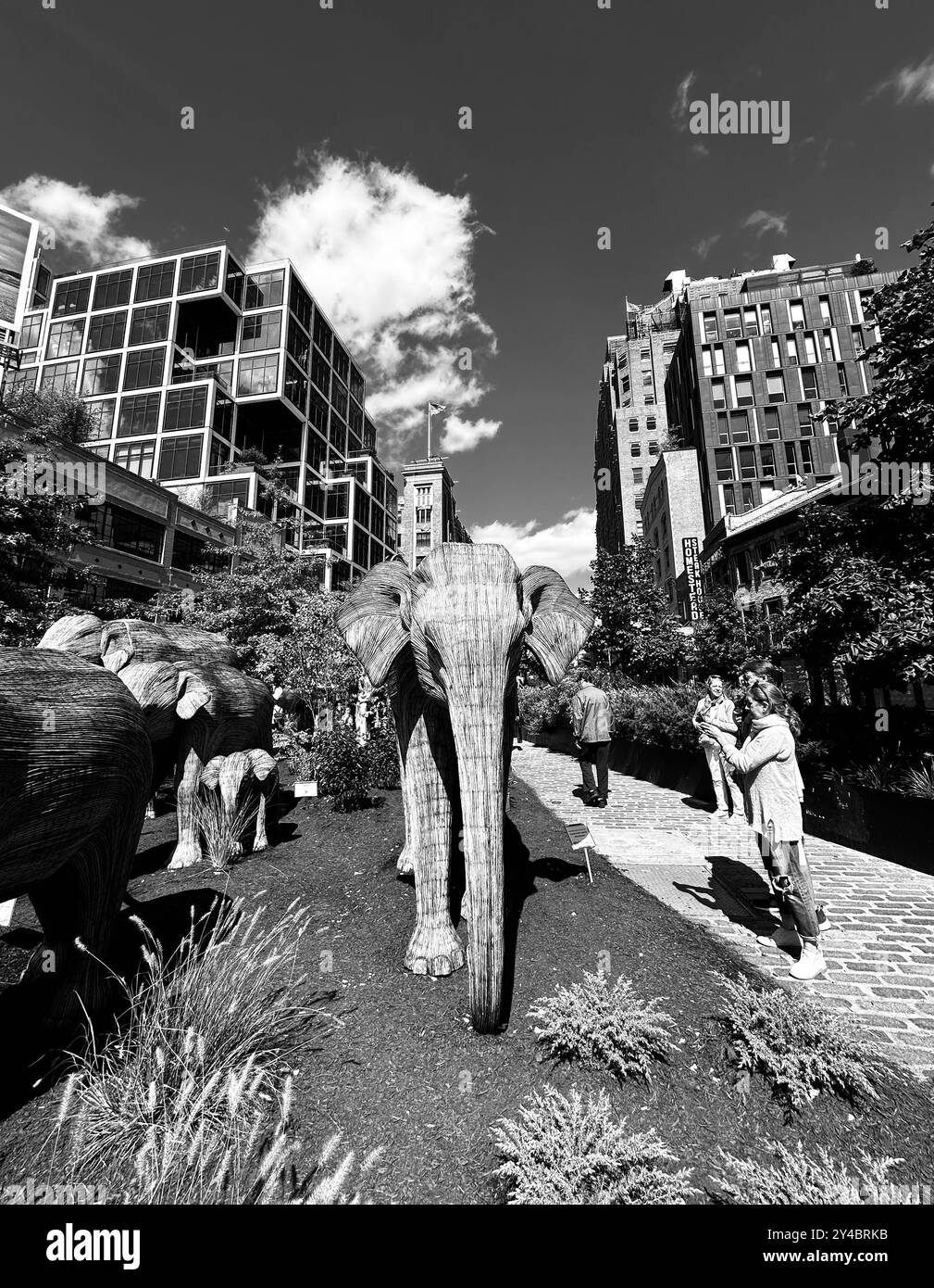 9/8/24, New York, New York, United States “The Great Elephant Migration ...