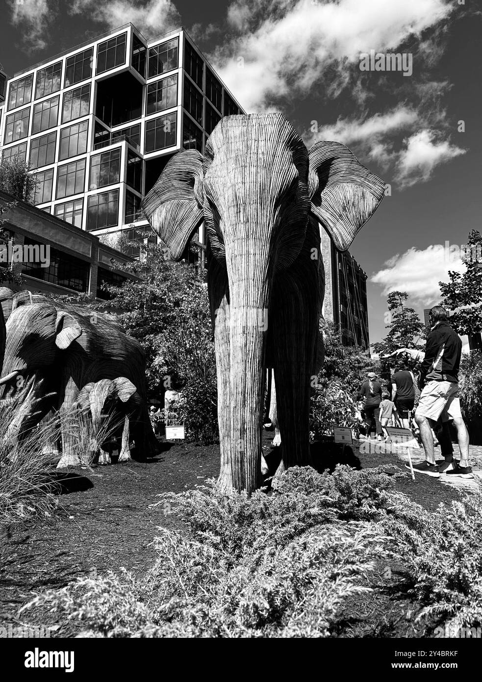 9/8/24, New York, New York, United States “The Great Elephant Migration ...