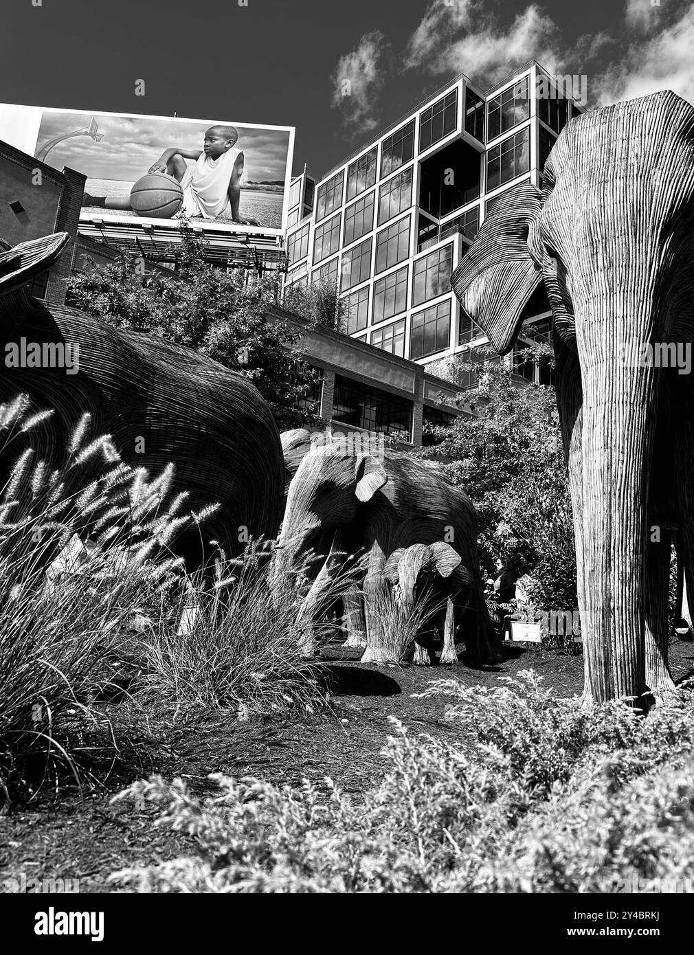 9/8/24, New York, New York, United States “The Great Elephant Migration ...