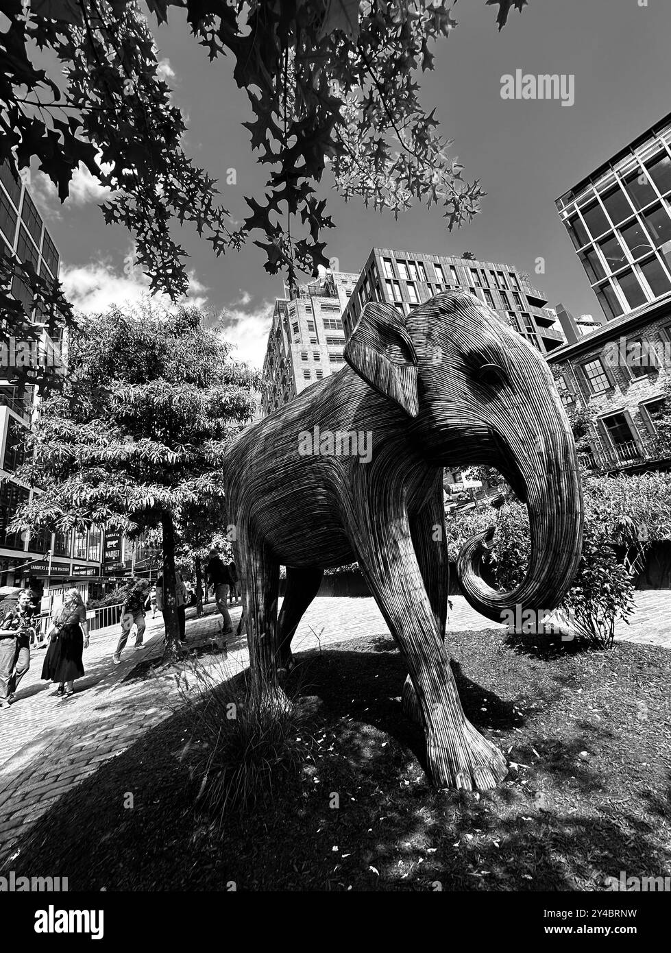 9/8/24, New York, New York, United States “The Great Elephant Migration ...