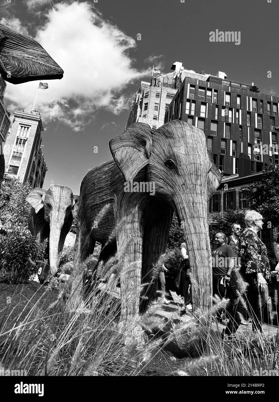 9/8/24, New York, New York, United States “The Great Elephant Migration ...