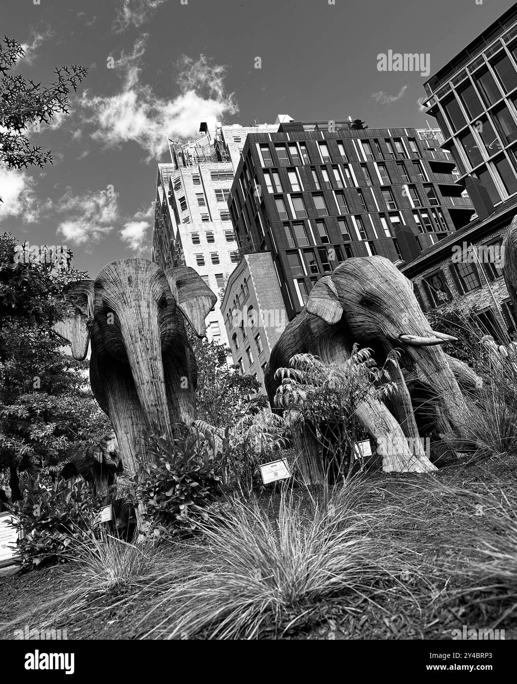 9/8/24, New York, New York, United States “The Great Elephant Migration ...