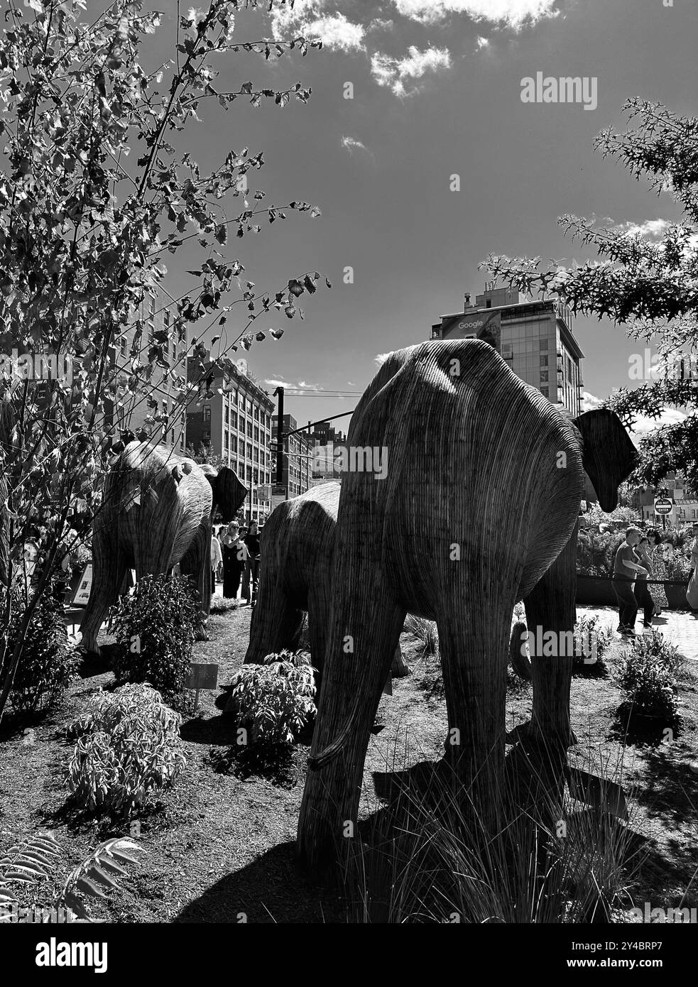 9/8/24, New York, New York, United States “The Great Elephant Migration ...