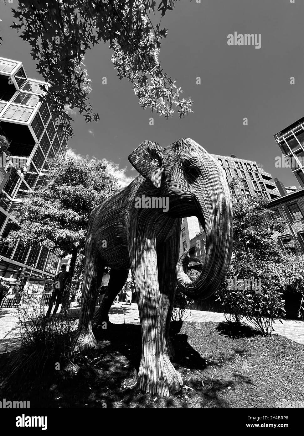 9/8/24, New York, New York, United States “The Great Elephant Migration ...