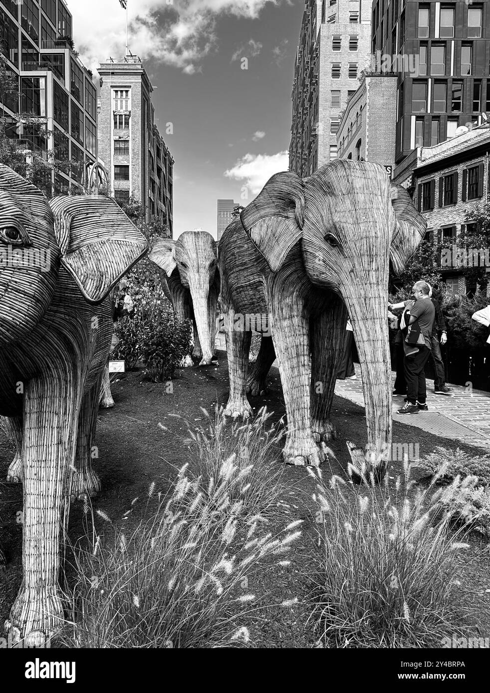 9/8/24, New York, New York, United States “The Great Elephant Migration ...