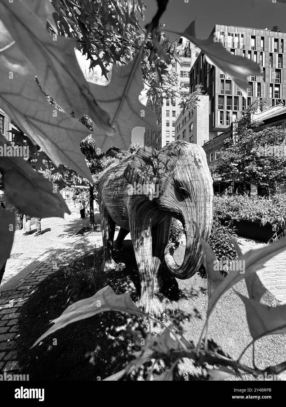 9/8/24, New York, New York, United States “The Great Elephant Migration ...