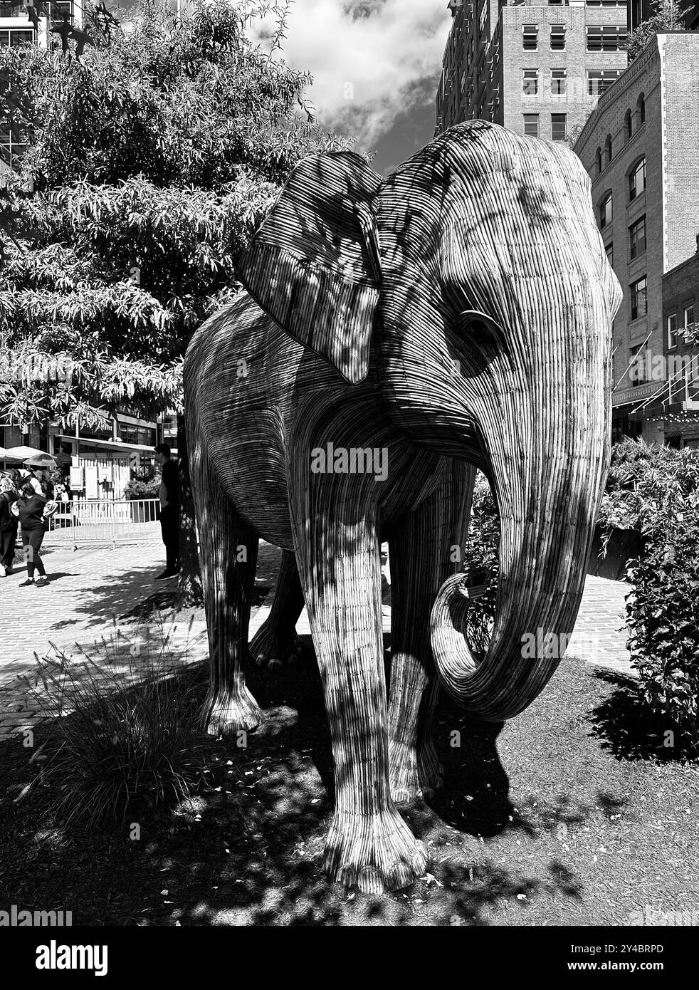 9/8/24, New York, New York, United States “The Great Elephant Migration ...