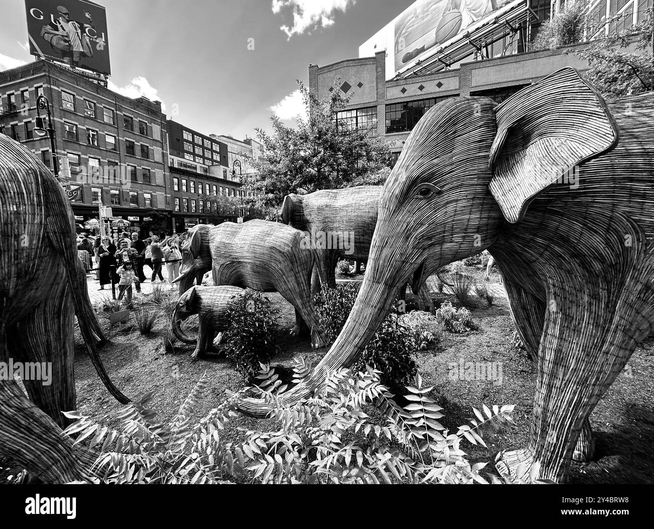 9/8/24, New York, New York, United States “The Great Elephant Migration ...