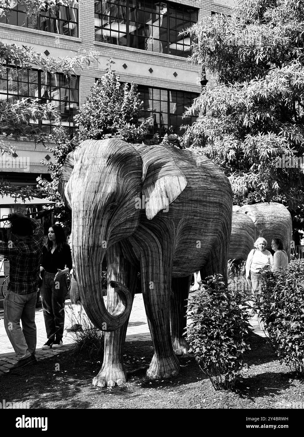 9/8/24, New York, New York, United States “The Great Elephant Migration ...