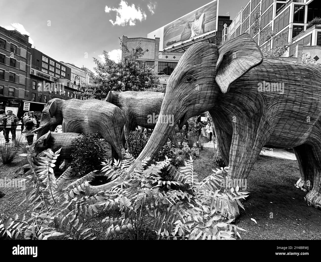 Designs art collective hi-res stock photography and images - Alamy