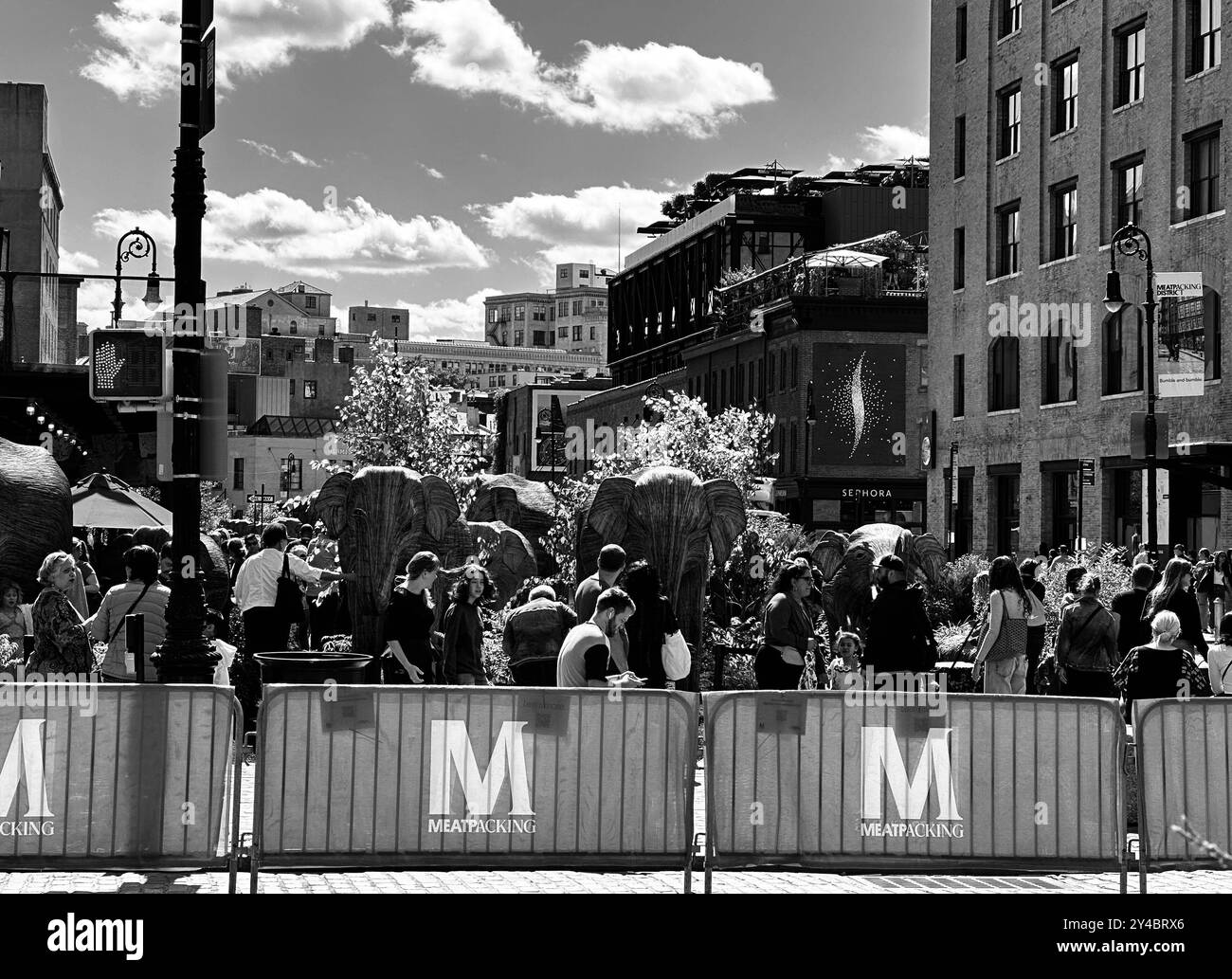 9/8/24, New York, New York, United States “The Great Elephant Migration ...