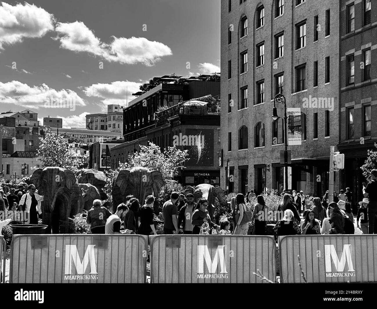 9/8/24, New York, New York, United States “The Great Elephant Migration ...