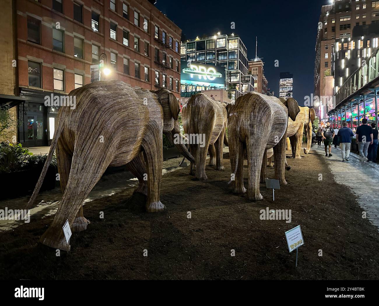 New York, USA. 9/13/24, New York, New York, United States “The Great ...