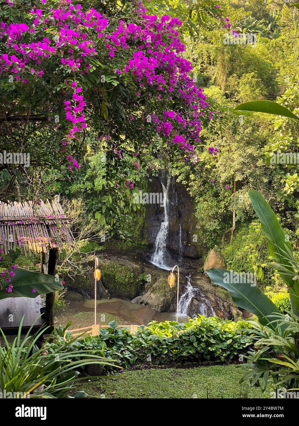 Layana waterfall - hidden gem in Ubud at sunny day. Gianyar, Bali ...