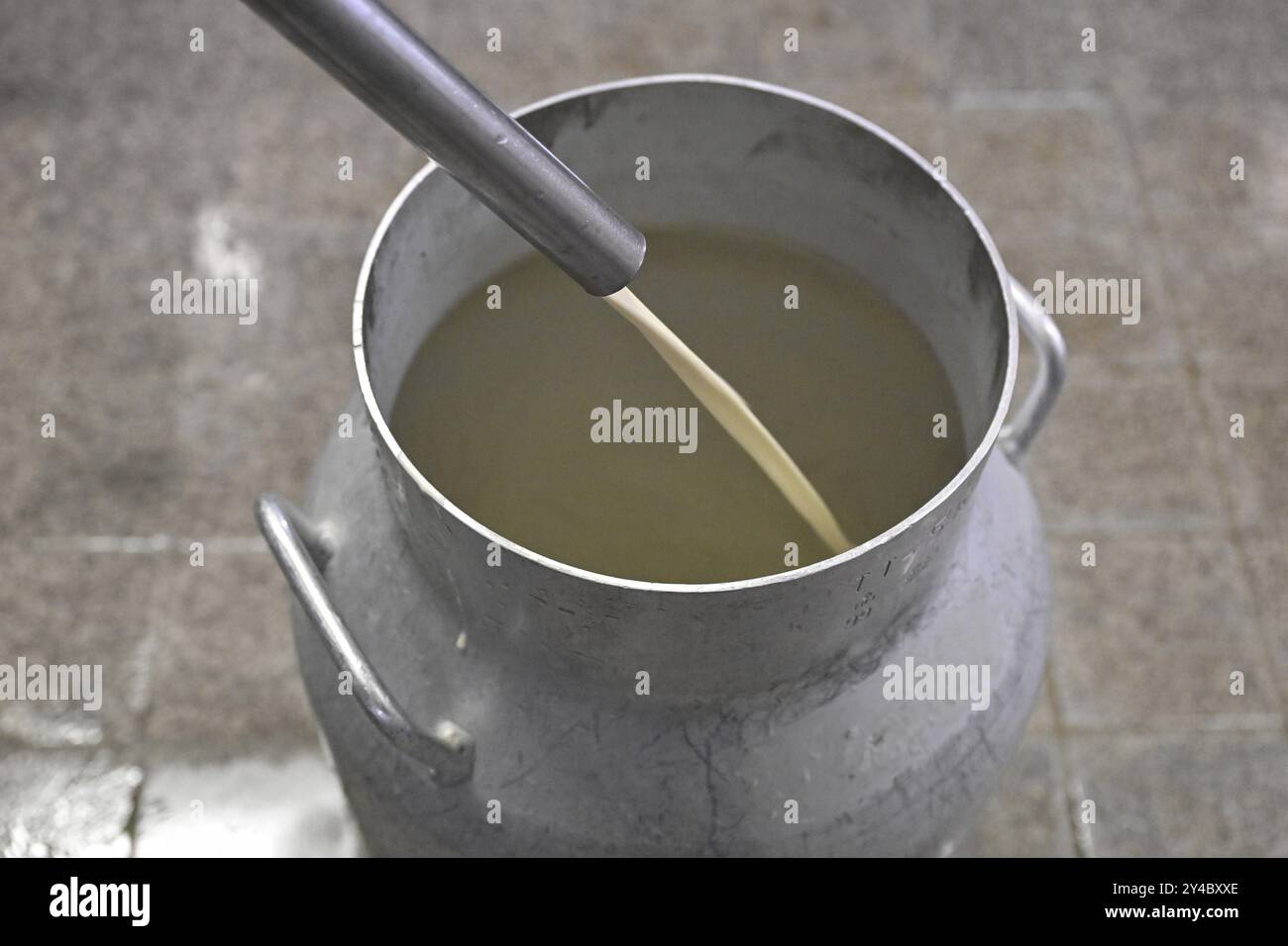 Filling milk Milk can Stock Photo - Alamy