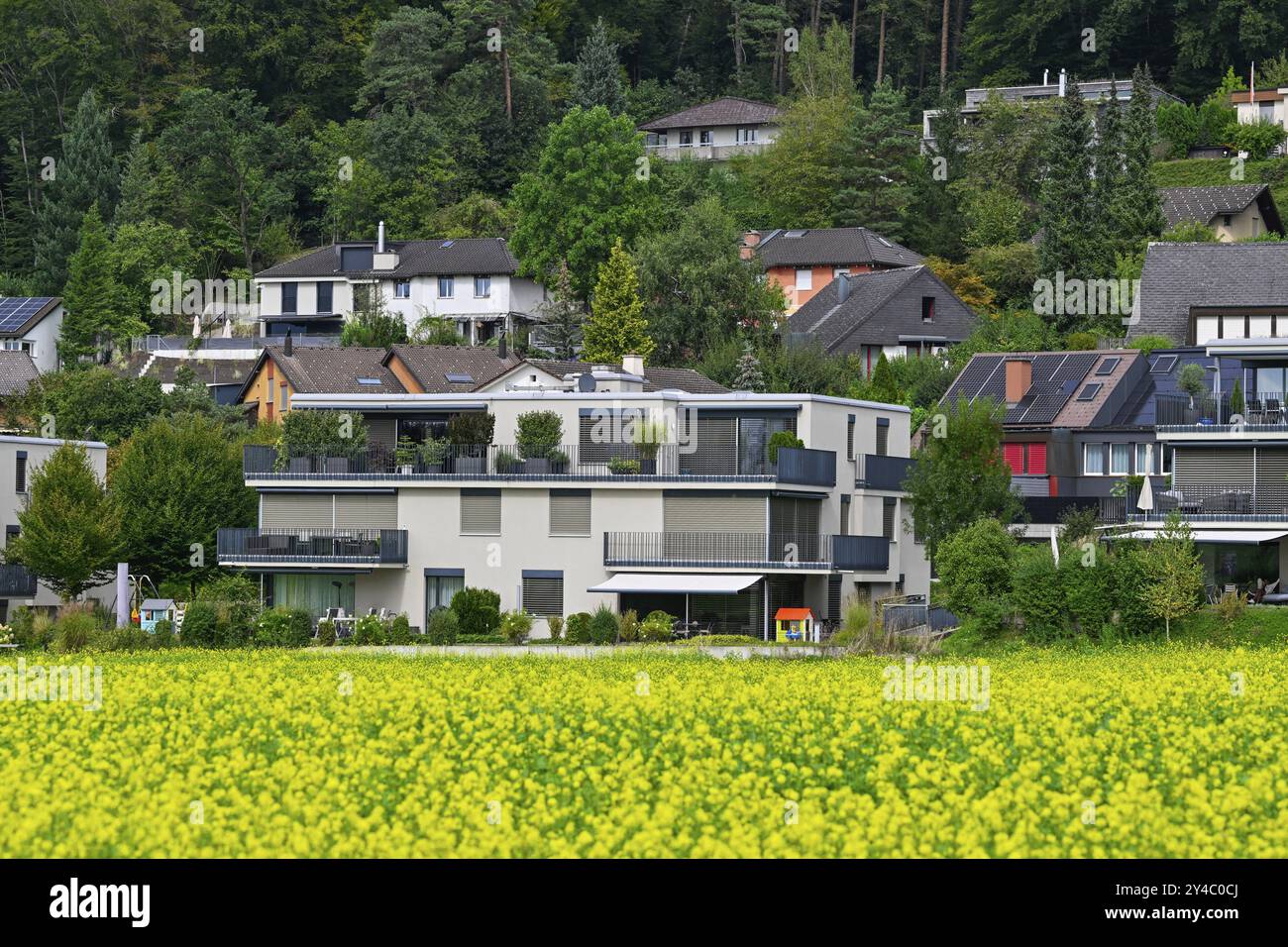 Housing estate detached houses Stock Photo - Alamy