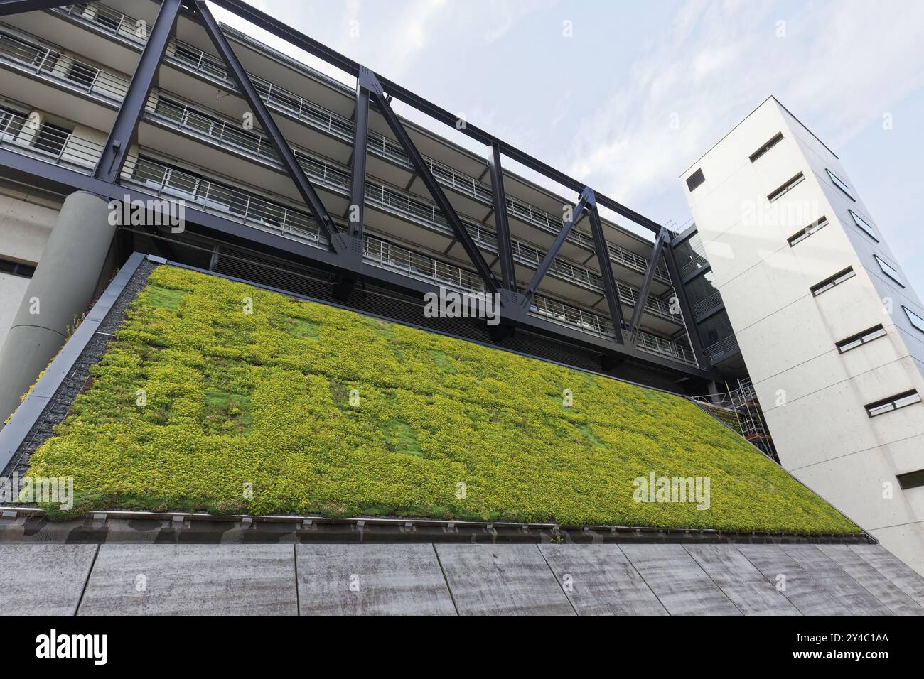 Green facade on the PEC office building, cloud bow, planting to improve ...