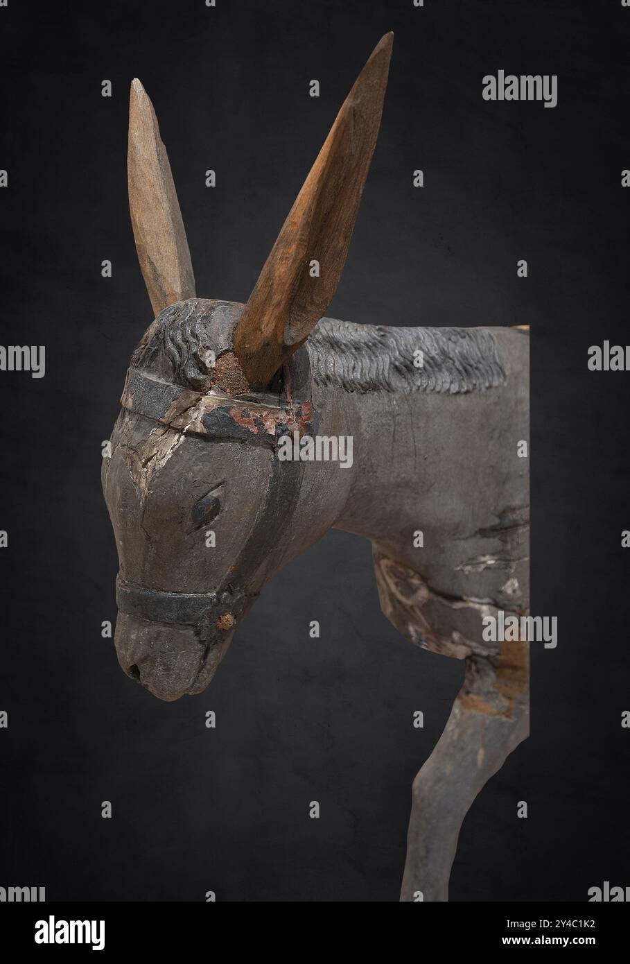 Head of the donkey, on a dark background, detail of the palm donkey ...