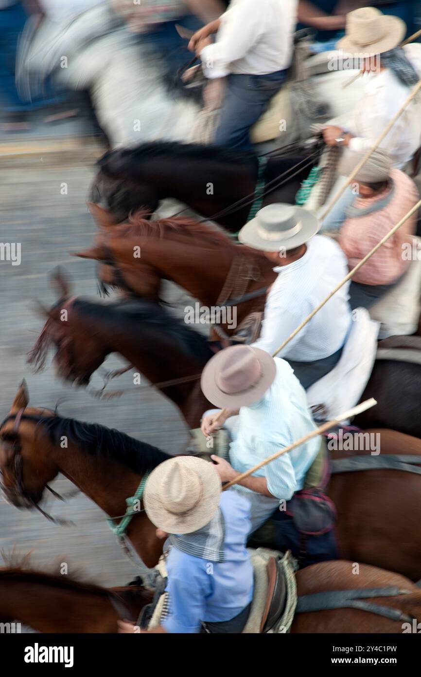 Every June 26, cowboys gather in Almonte to drive wild mares and colts ...