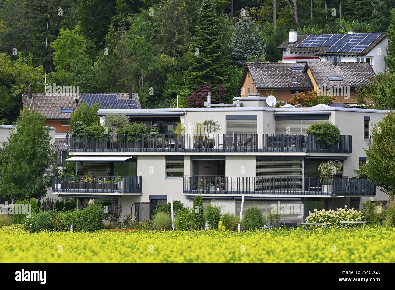 Housing estate detached houses Stock Photo - Alamy