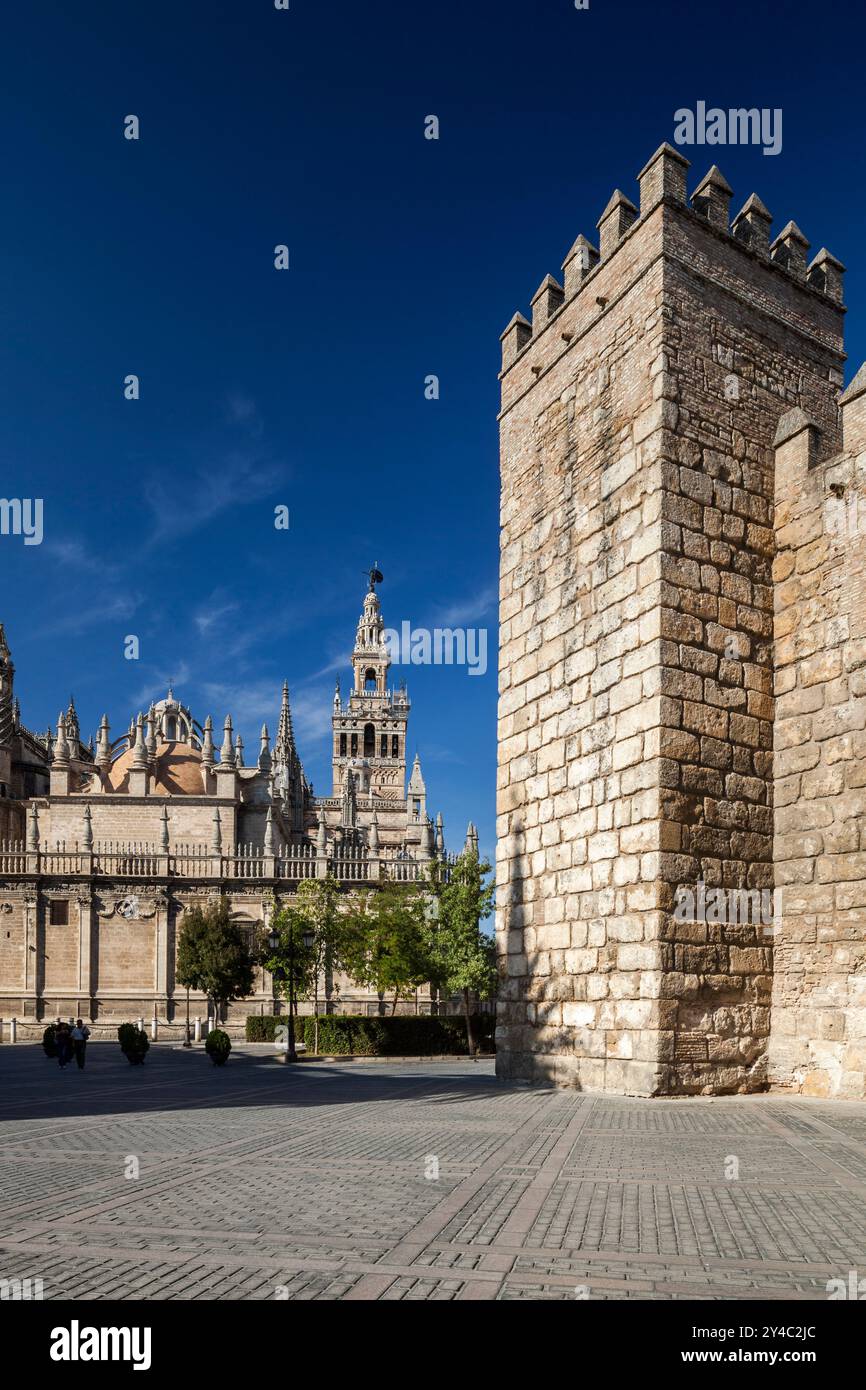 View the stunning architecture of Seville Cathedral and the Royal ...