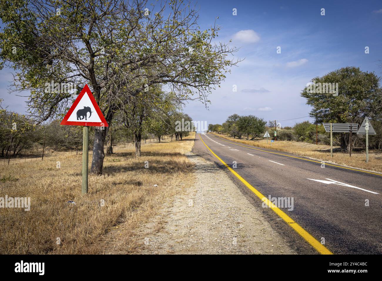 Warning sign Caution elephants on African elephant road, Balule Plains ...