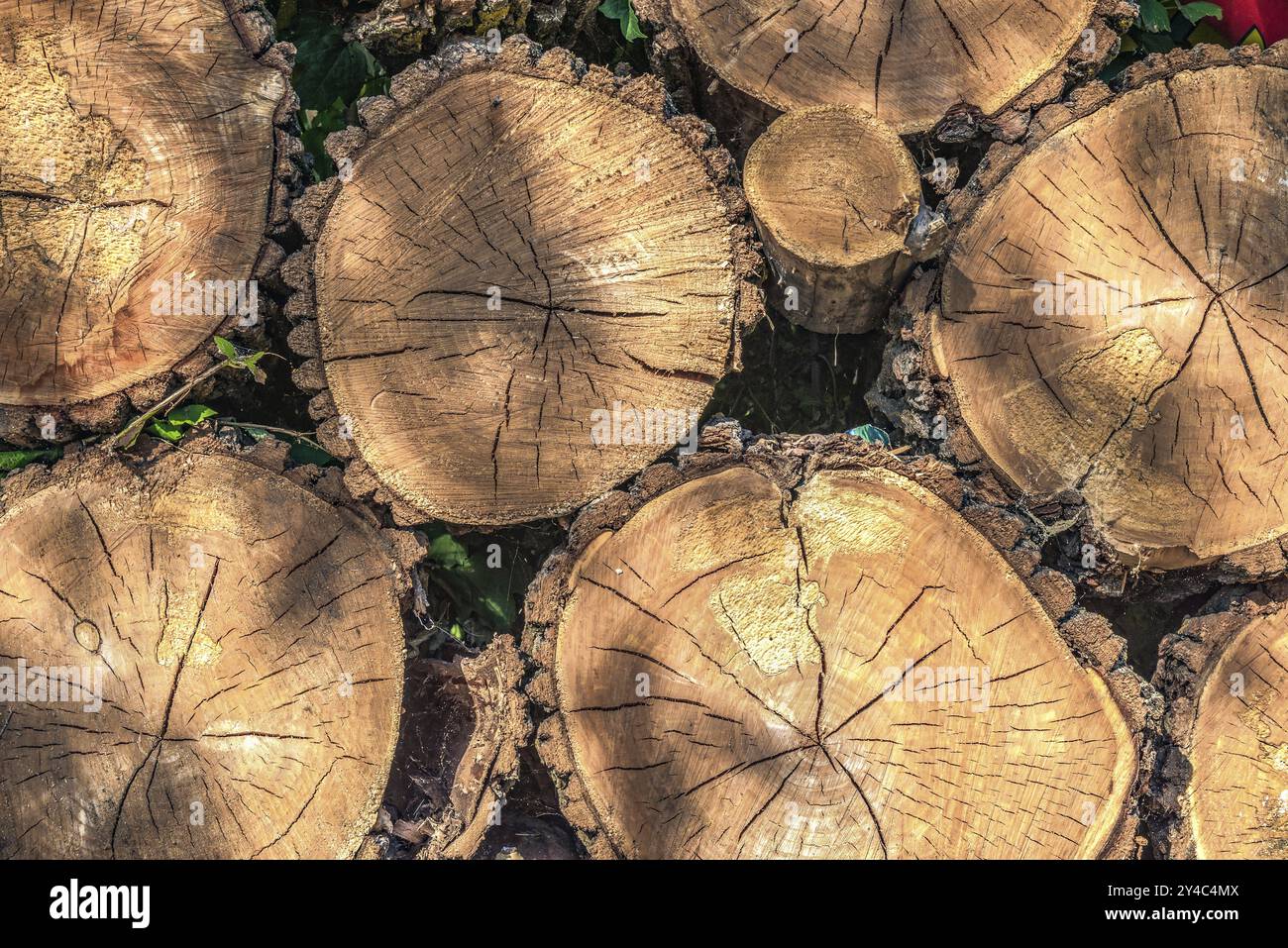 Close up logs stack hi-res stock photography and images - Alamy