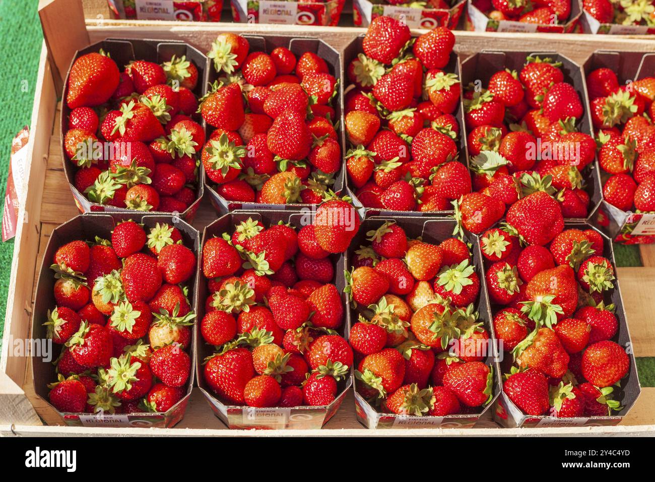 Fresh strawberries (Fragaria) in trays on a market stall, Bremen ...