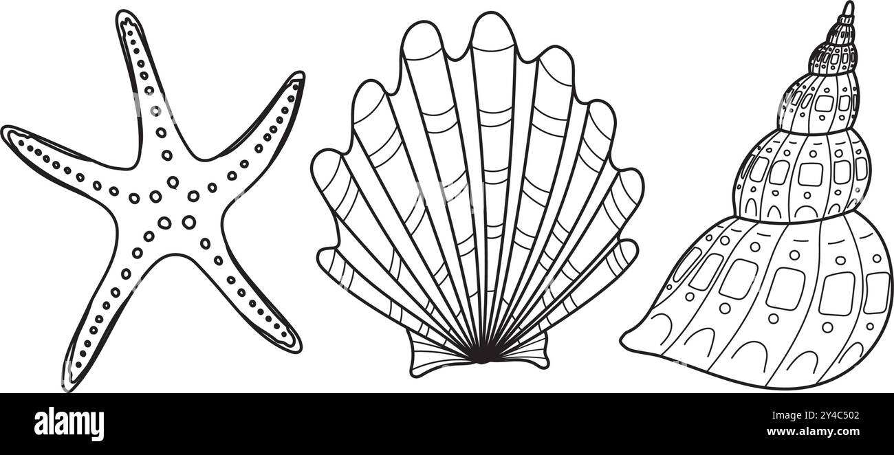 Seashells vector set. Linear drawing of starfish and scallop painted by ...