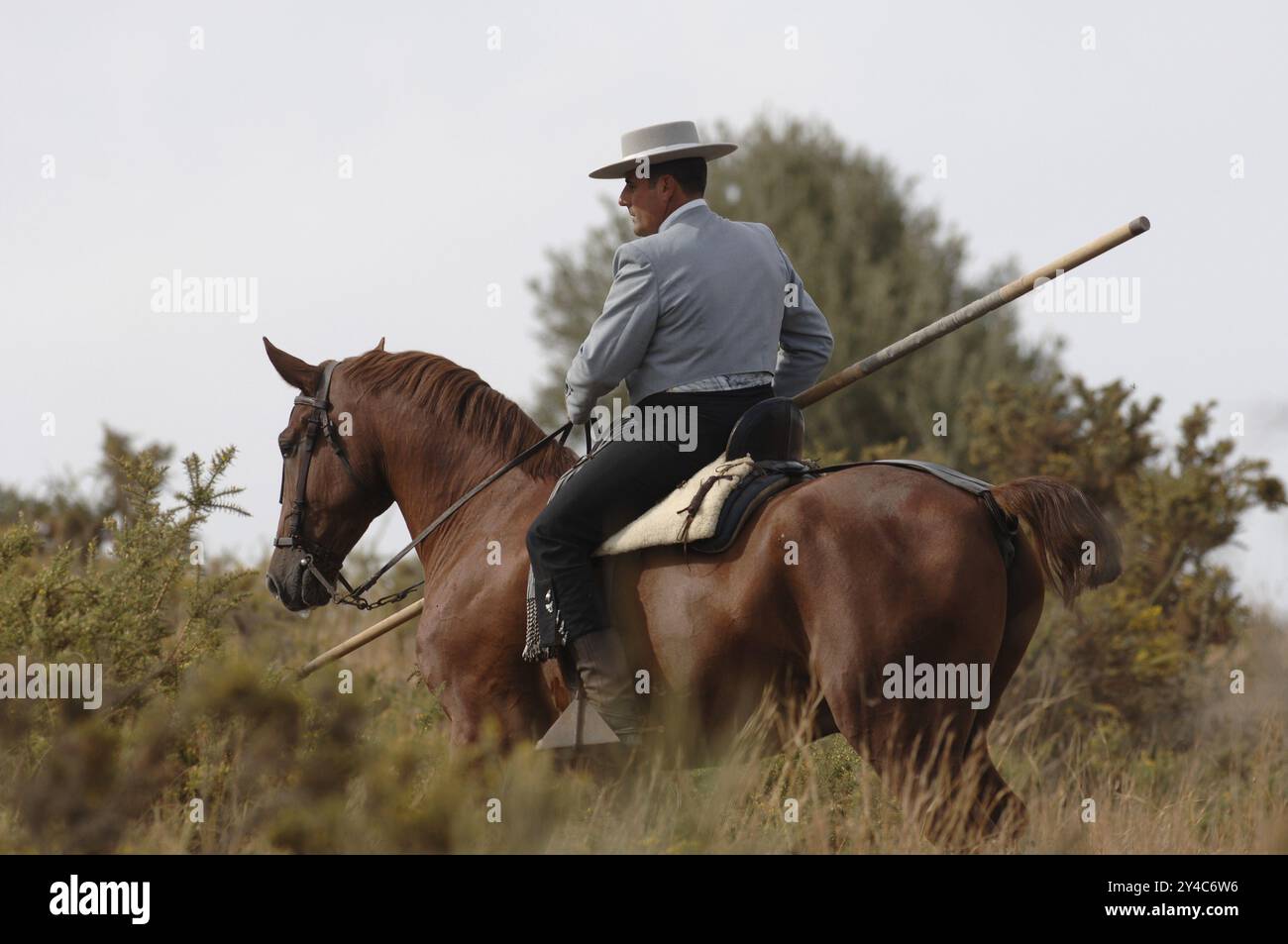 Spanish rider with garrocha Stock Photo - Alamy