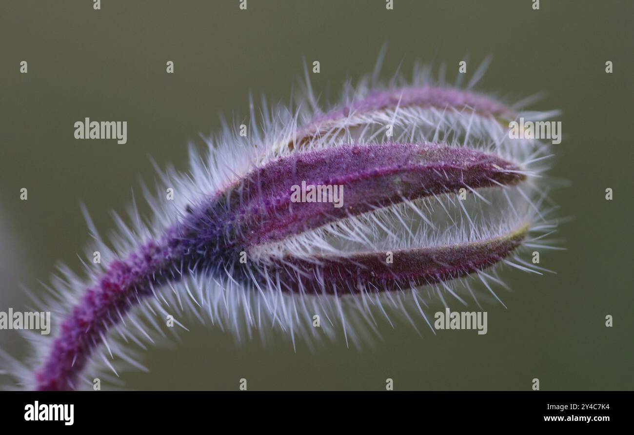 Rough crops hi-res stock photography and images - Alamy
