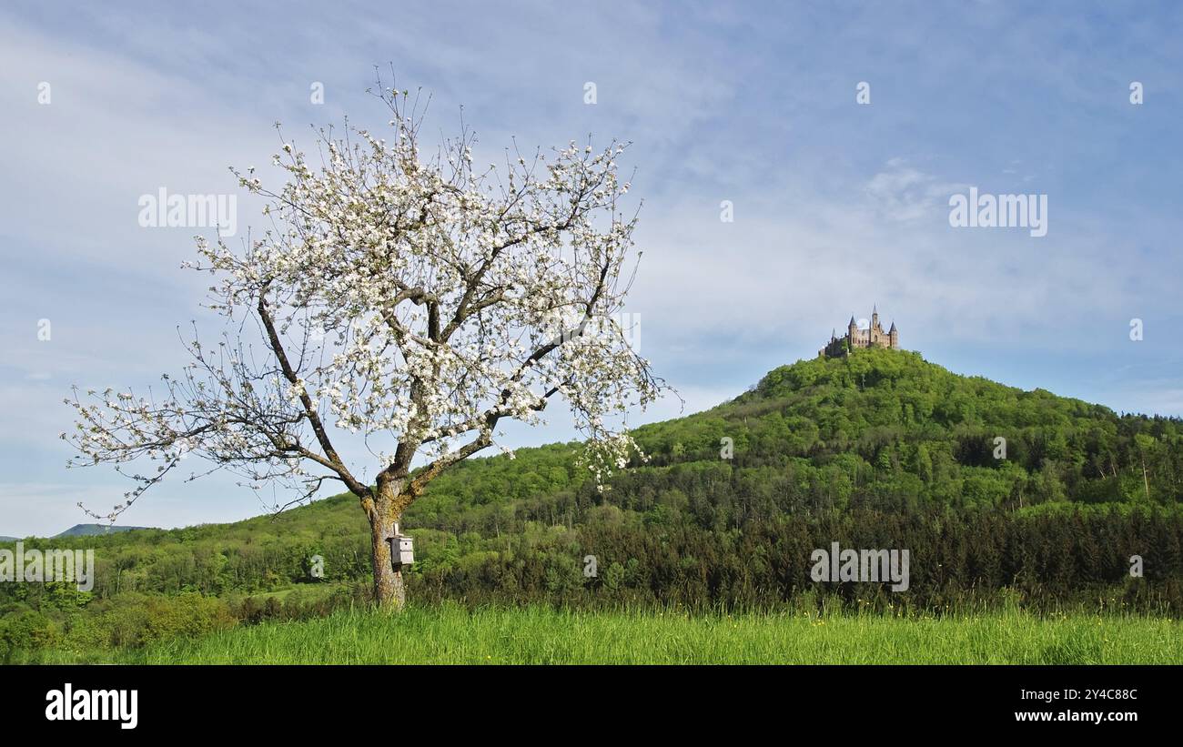 Hohenzollern Castle on the Zollerberg near Bisingen-Zimmern on the ...