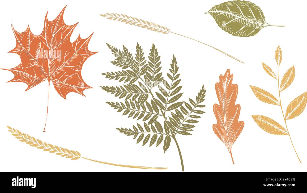Dried out plants Stock Vector Images - Alamy